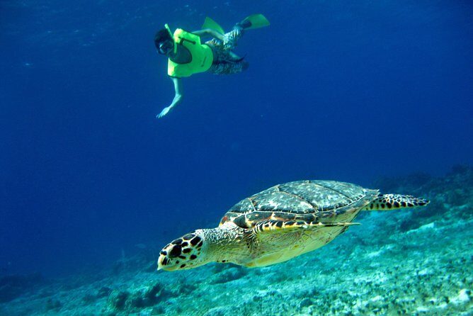 Mayan Flavors & Tequila Tasting + Beach Time - Is This Tour for You?