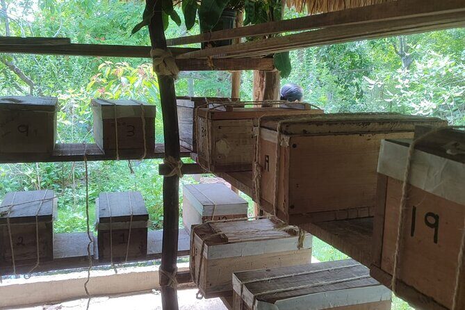 Mayan Heritage Artisan Tour from Merida - The Sum Up: Who Will Love This Tour?