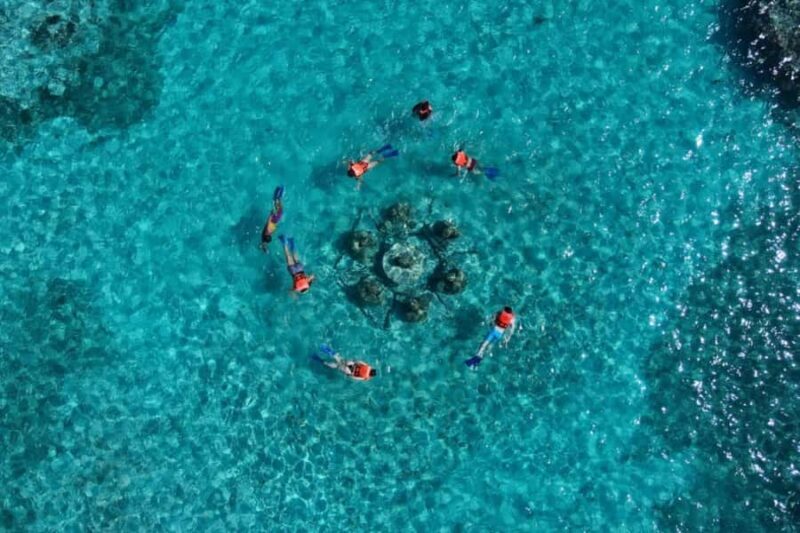 Mayan Jungle Tour with Speedboat & Snacks - Cancun - How This Tour Stands Out