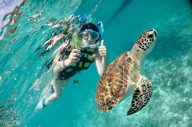Mayan snorkeling (Akumal-Cenote-Caverna) - FAQ