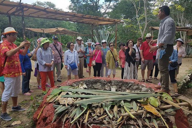 Mayan Village and Tequila Tour - A Close Look at the Tour Experience