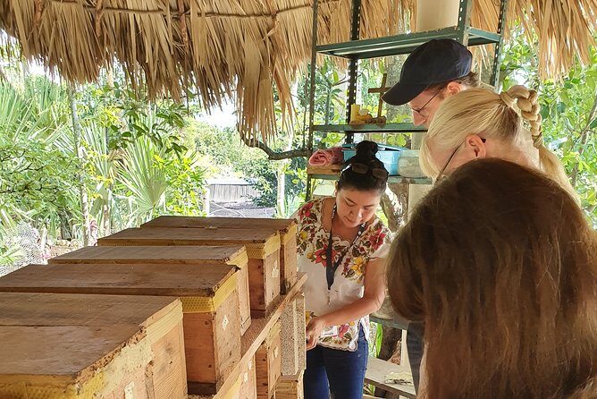 Mayas of Yesterday & Today: Tekit + Mayapan - FAQ