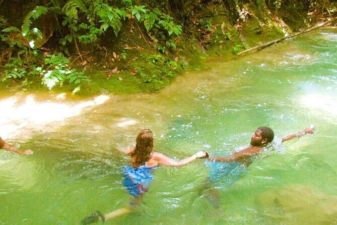 Mayfield Falls and Benta Falls Private Tour - The Wildlife and Flora: A Nature Lover’s Dream