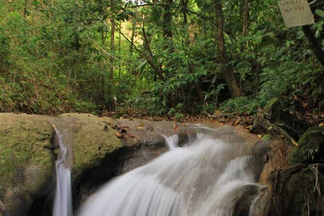 Mayfield Falls and Benta Falls Private Tour - Who Should Consider This Tour?