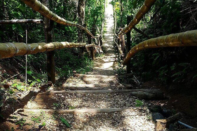 Mayfield Falls, Blue Hole & Rick's Café Tours/Weed Farm option - Final Thoughts