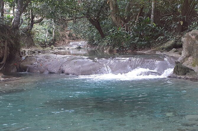 Mayfield Falls nature walk - An In-Depth Look at the Mayfield Falls Nature Walk