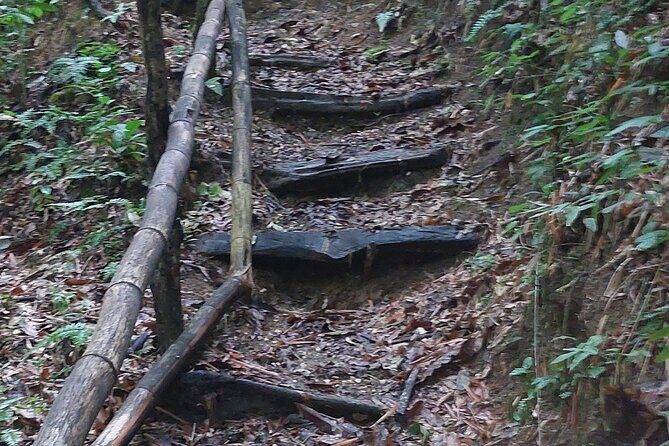 Mayfield Falls nature walk - Who Will Enjoy This Tour?