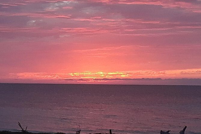 Mayfield Falls nature walk & Negril Hi-light Ricks Cafe - Exploring the Tour: A Deep Dive into the Experience