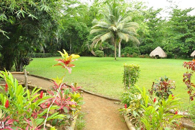 Mayfield Falls Private Tour - A Deep Dive into the Mayfield Falls Private Tour