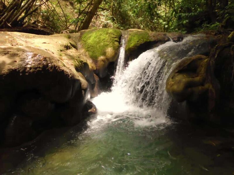 Mayfield Falls River Walk with Private Transportation - Discovering Mayfield Falls: A Nature Lover’s Paradise