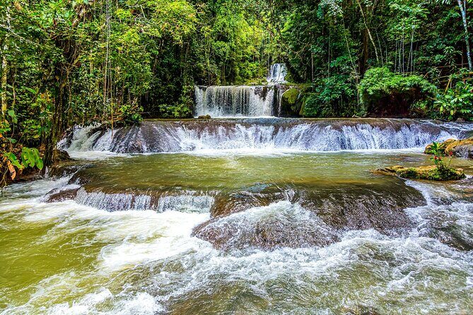 Mayfield Falls Tour Westmoreland Negril from Montego Bay - An In-Depth Look at the Mayfield Falls Tour Experience