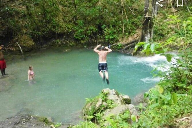 Mayfield Falls Tour with Lunch, drink, Entry & Transp(Original) - What Makes the Mayfield Falls Tour Stand Out?