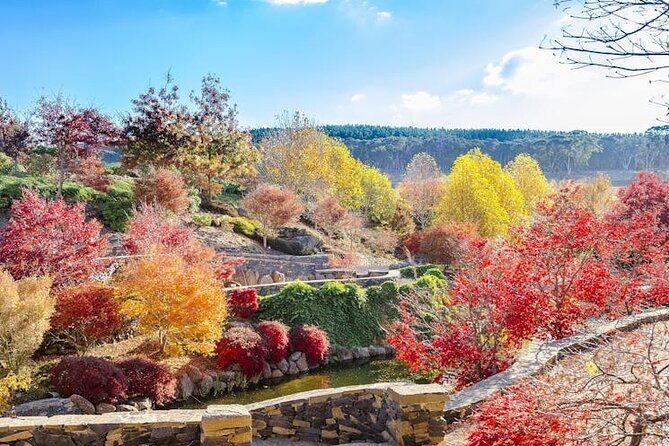 Mayfield Gardens Autumn Tour from Sydney with Echo Point Stop - Final Thoughts