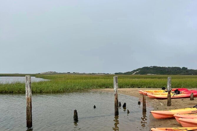 Mayflower Trolley Tour! - What to Expect from the Tour: A Detailed Breakdown