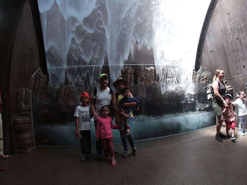 Mazatlan: Grand Aquarium Ticket and City Sightseeing Tour - Practical Details and Considerations