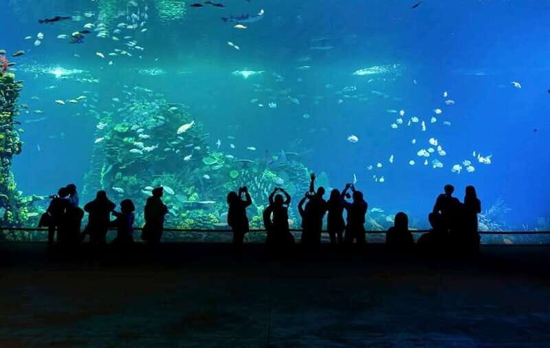 Mazatlan: Grand Aquarium Ticket and City Sightseeing Tour - FAQ