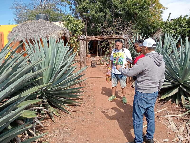 Mazatlan: Mezcal Factory Tour with Tasting and Lunch - Key Points
