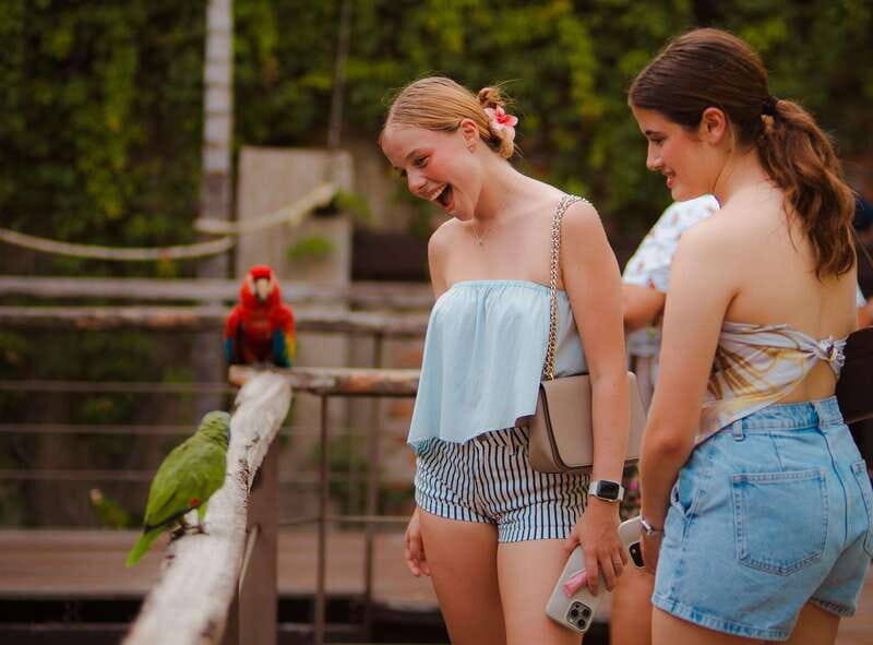 Mazatlán: Observatorio 1873 Cultural & Nature Experience - The Cacao Ceremony: A Cultural Highlight