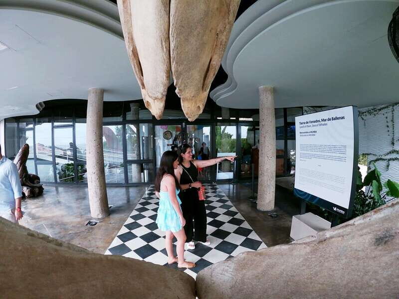 Mazatlán: Observatorio 1873 Cultural & Nature Experience - Relaxing at the Sky Bar