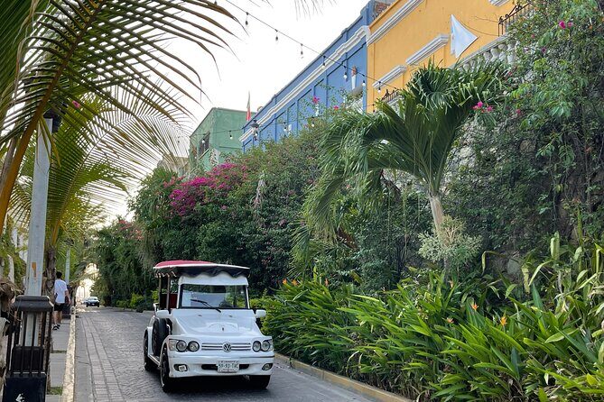 Mazatlan Pulmonia Experience - What Is the Mazatlan Pulmonia Experience?