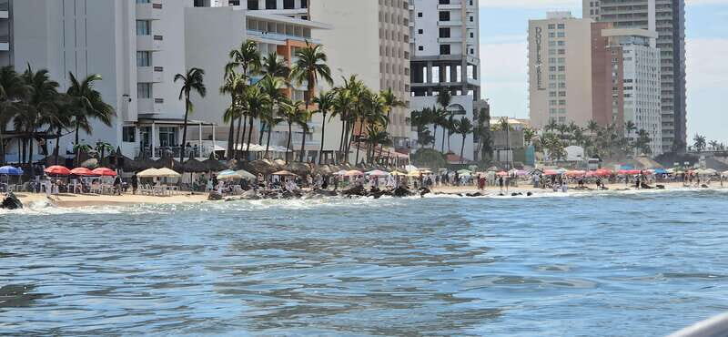 Mazatlan: Sea lions and snorkeling - A Closer Look at the Experience
