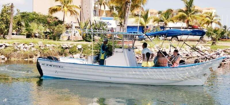 Mazatlan: Sea lions and snorkeling - Final Thoughts: Is It Worth It?