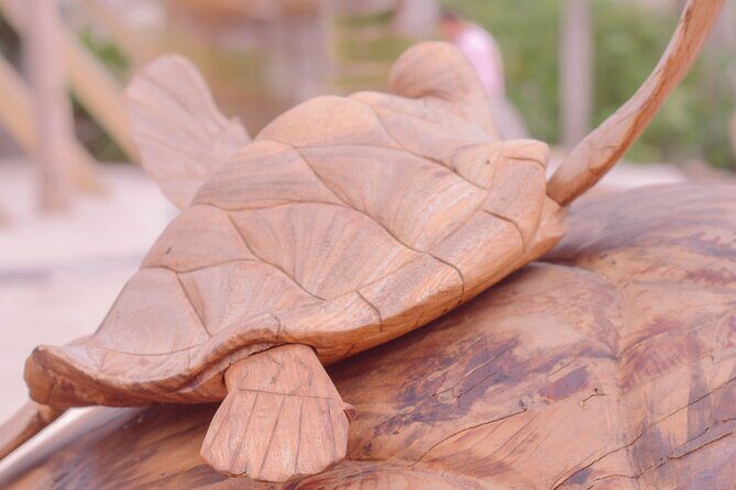 Mazatlan Shekinah Beach Access - Who Should Consider This Tour?