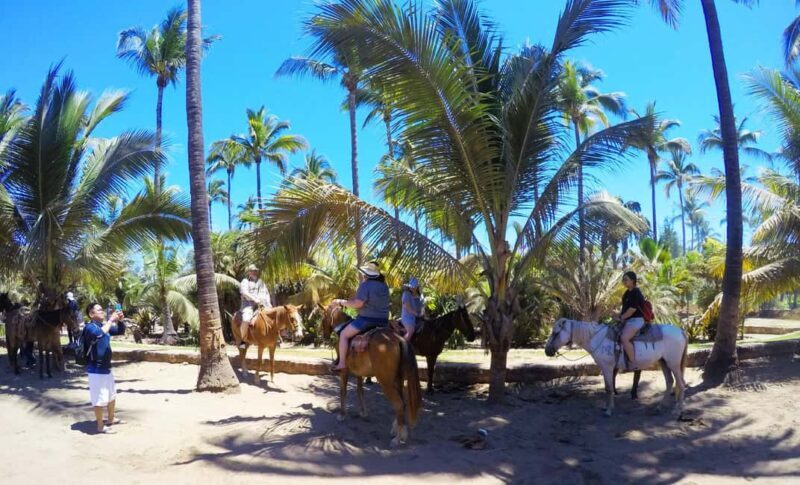 Mazatlan: Sightseeing and Beach All-Inclusive Tour - Who Should Consider This Tour?