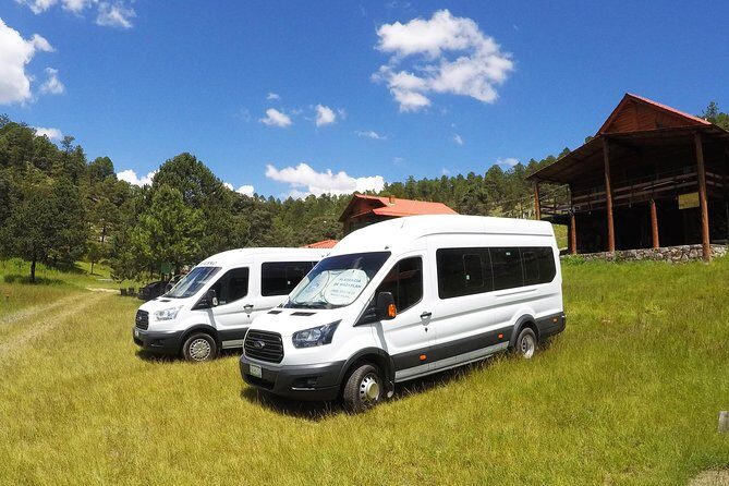 Mazatlan Sightseeing and Golden Zone Private Vehicle - An In-Depth Look at the Tour Experience