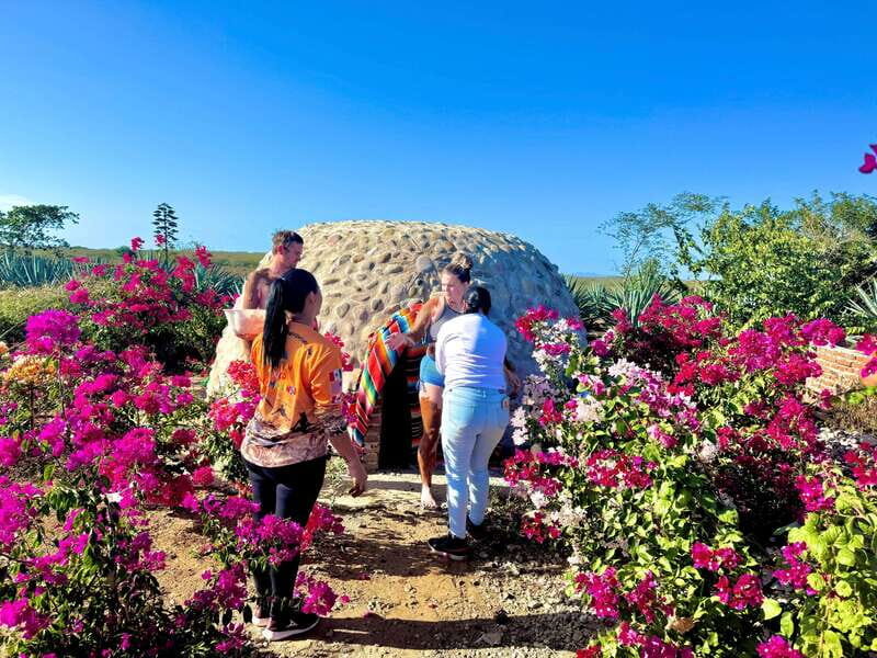 Mazatlan: Temazcal Experience with Lunch and Transportation - Introduction