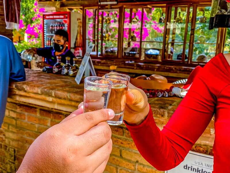 Mazatlán: Tequila Factory & Country Sightseeing - The Tequila Factory & Tasting