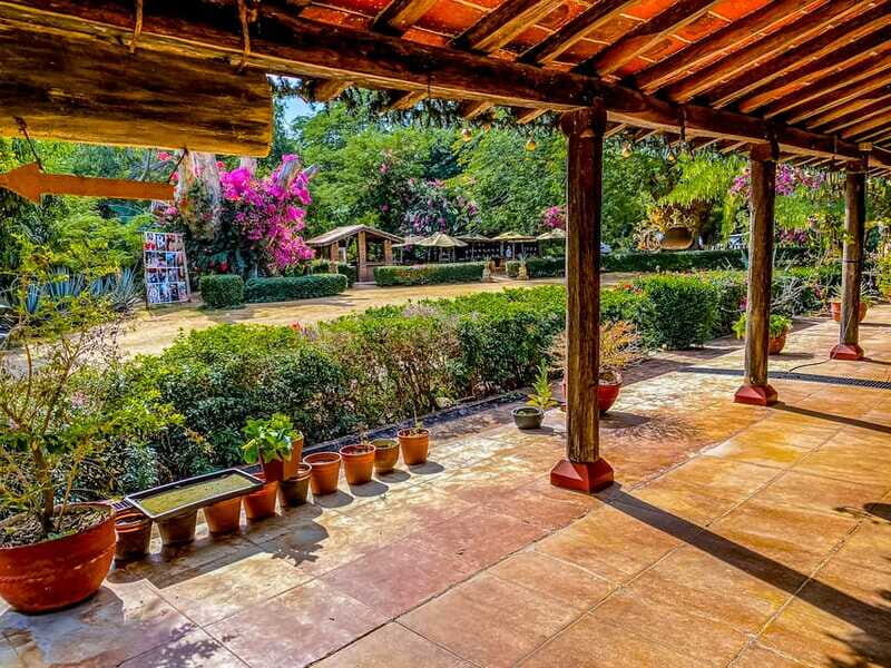 Mazatlán: Tequila Factory & Country Sightseeing - Who Should Consider This Tour?