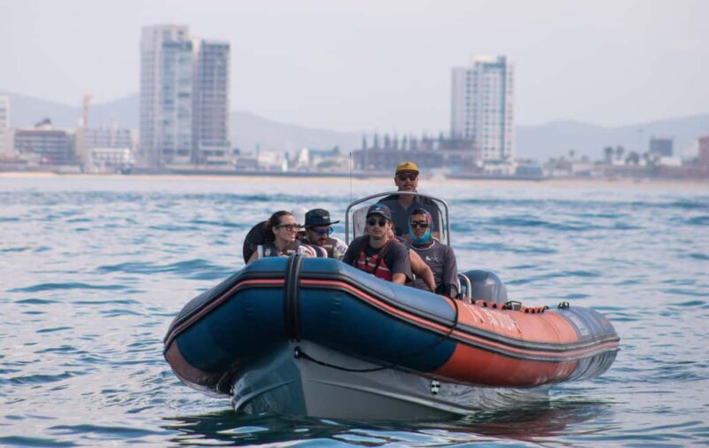 Mazatlán: Whale-Watching Boat Tour with Marine Experts - The Starting Point and Transportation