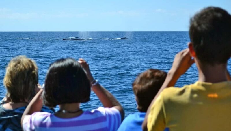 Mazatlán: Whale-Watching Boat Tour with Marine Experts - The Encounters with Whales