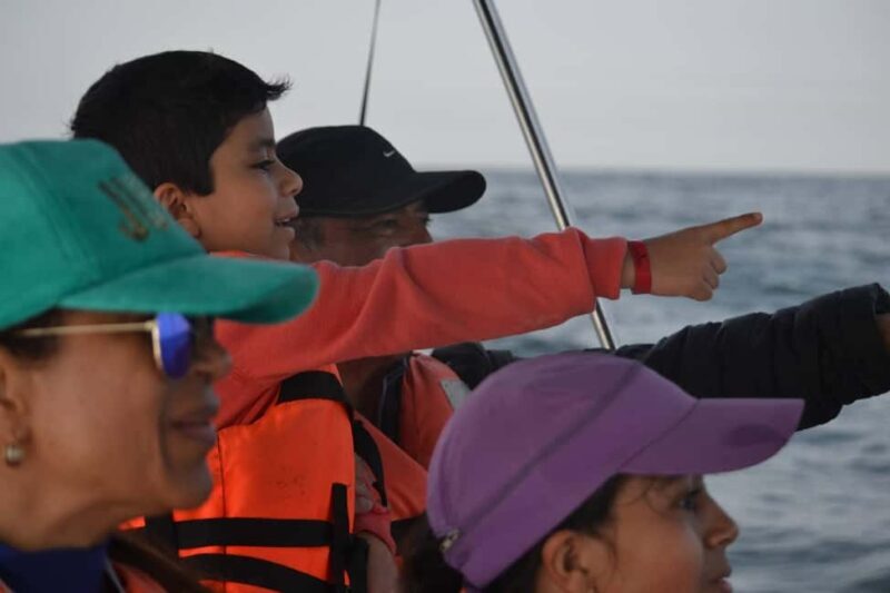 Mazatlán: Whale-Watching Boat Tour with Marine Experts - Value for Money
