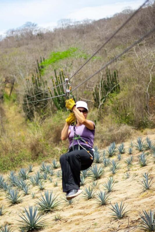 Mazatlán: Zipline Adventure & Distillery Tour with Pickup - A Close Look at the Experience
