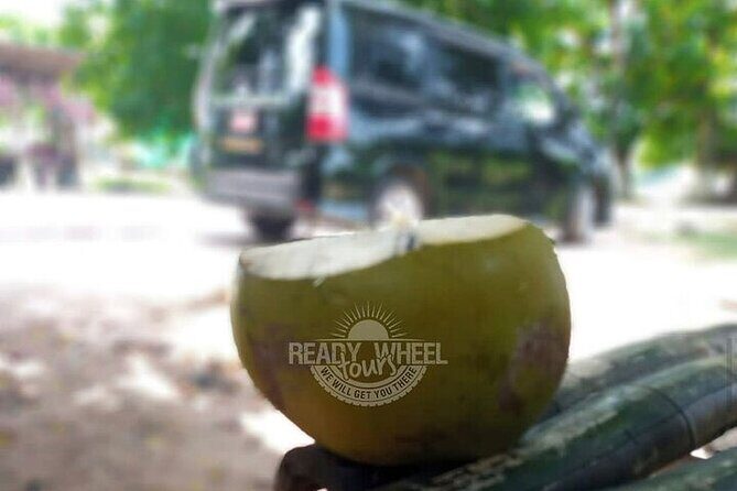 MBJ Airport Private Transfer to Rosehall Montego Bay - Key Points