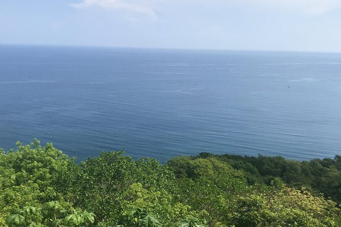 MBJ Transfers - Runaway Bay and Ocho Rios Hotels - Booking and Arrival: Getting Settled in Jamaica