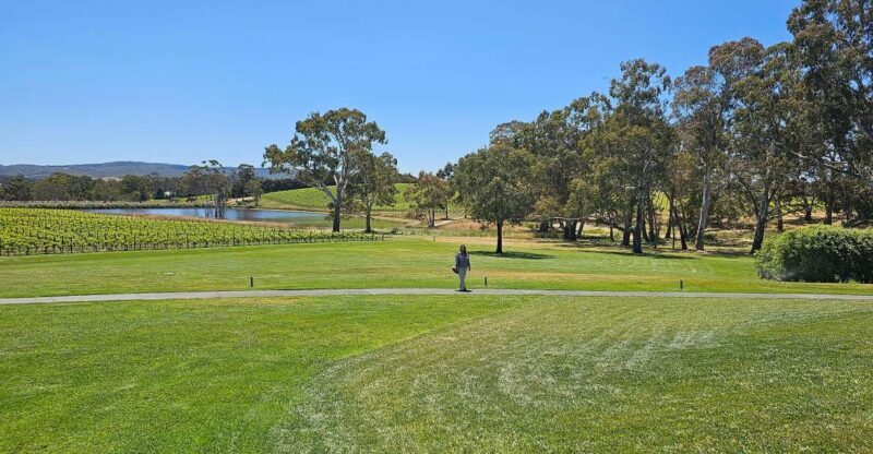 McLaren Vale and Historic Hahndorf Wine Tour - McLaren Vale and Historic Hahndorf Wine Tour Review: A Taste of South Australia’s Best