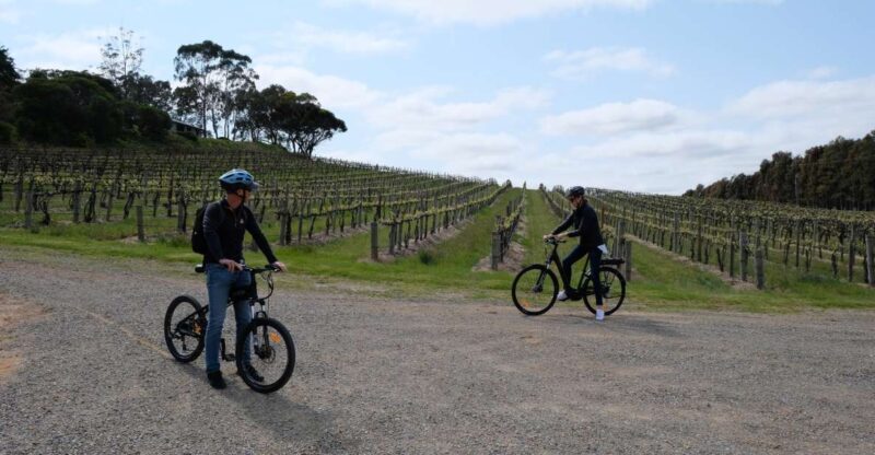 McLaren Vale: E-Bike Rental to Explore the Vineyards - Introduction: What to Expect From This McLaren Vale E-Bike Adventure
