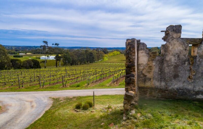 McLaren Vale: E-Bike Rental to Explore the Vineyards - A Day in the Life: What You Can Expect