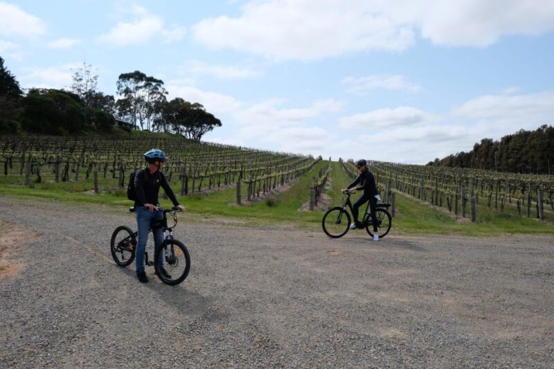 McLaren Vale: E-Bike Rental to Explore the Vineyards - The Sum Up
