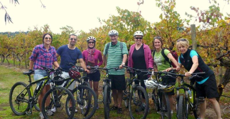 Mclaren Vale Hills Vines and Wines Bike Tour from Adelaide - A Scenic Journey Through McLaren Vales Vineyards by Bike