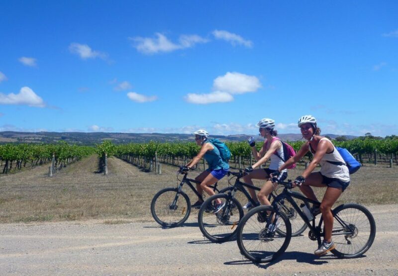 Mclaren Vale Hills Vines and Wines Bike Tour from Adelaide - What Makes This Tour Special