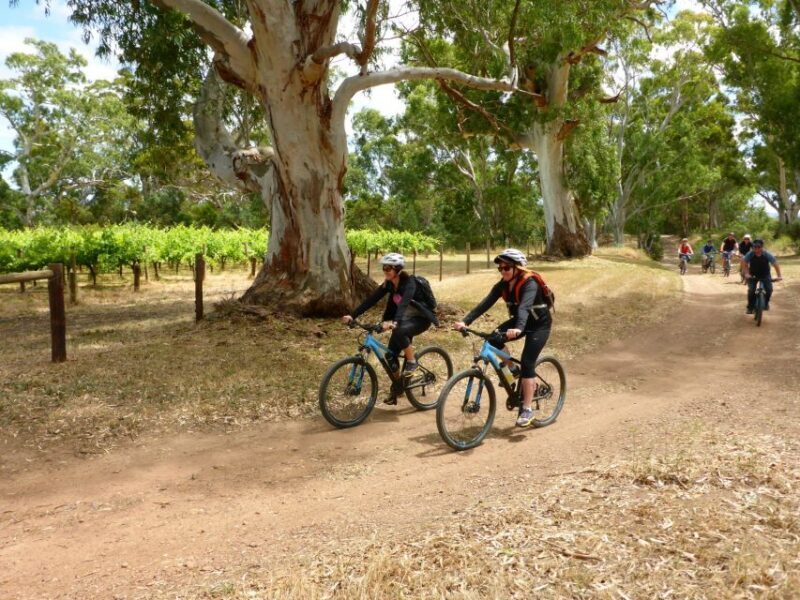 Mclaren Vale Hills Vines and Wines Bike Tour from Adelaide - The All-Inclusive Experience: What’s Included