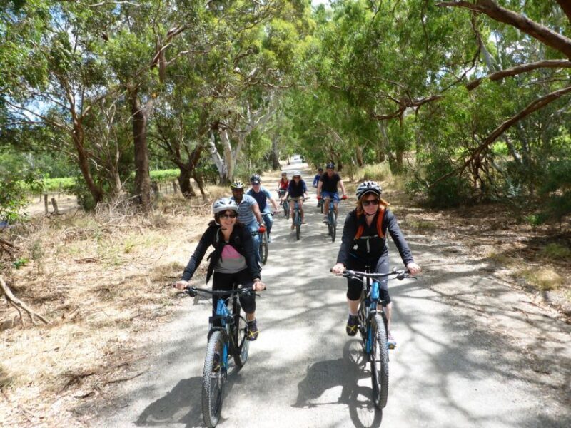 Mclaren Vale Hills Vines and Wines Bike Tour from Adelaide - The Real Experience: What Travelers Say
