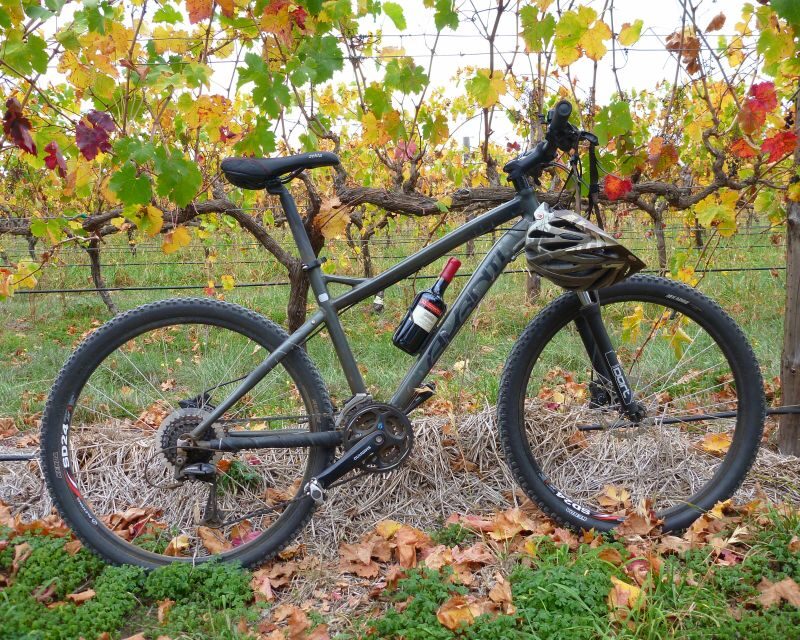 Mclaren Vale Hills Vines and Wines Bike Tour from Adelaide - The Value of the Experience