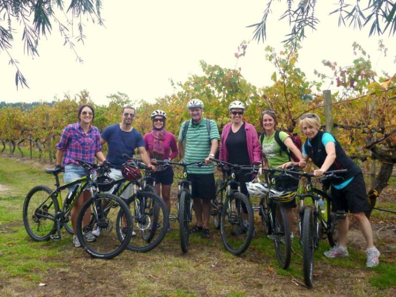 Mclaren Vale Hills Vines and Wines Bike Tour from Adelaide - Who Should Consider This Tour?