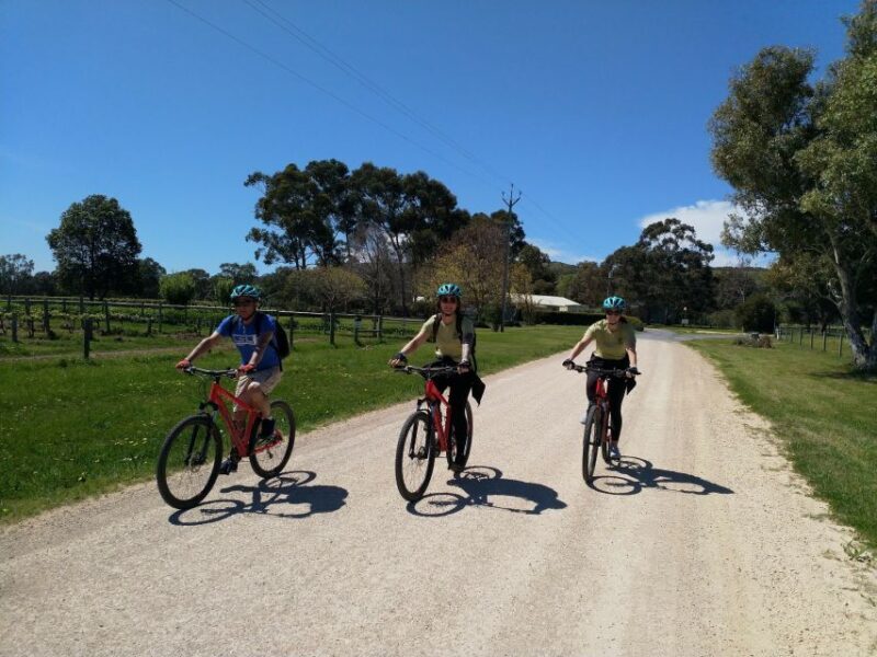 Mclaren Vale Hills Vines and Wines Bike Tour from Adelaide - Frequently Asked Questions
