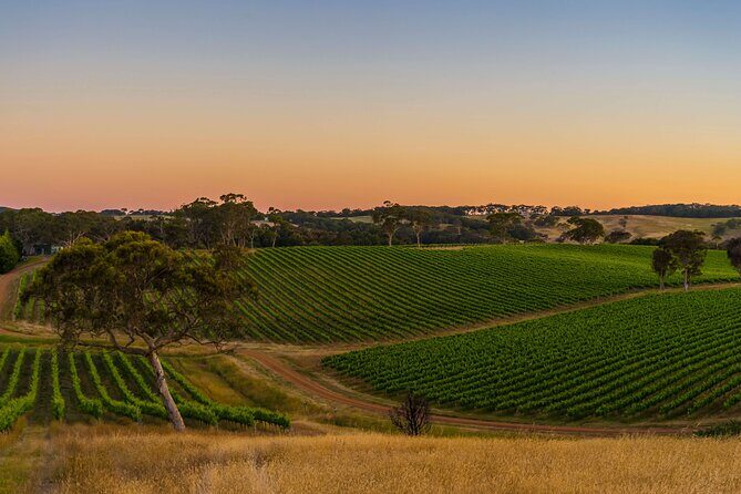 McLaren Vale & Historic Hahndorf Wine Tour - FAQ